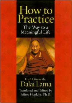 How to Practice: The Way to a Meaningful Life - FrequencyRiser